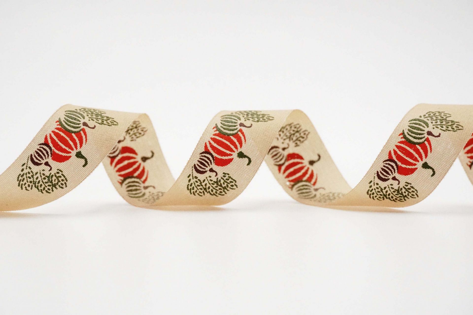 Pumpkin Garden Ribbon | Elevate Your Crafts with Luxurious Satin Ribbons