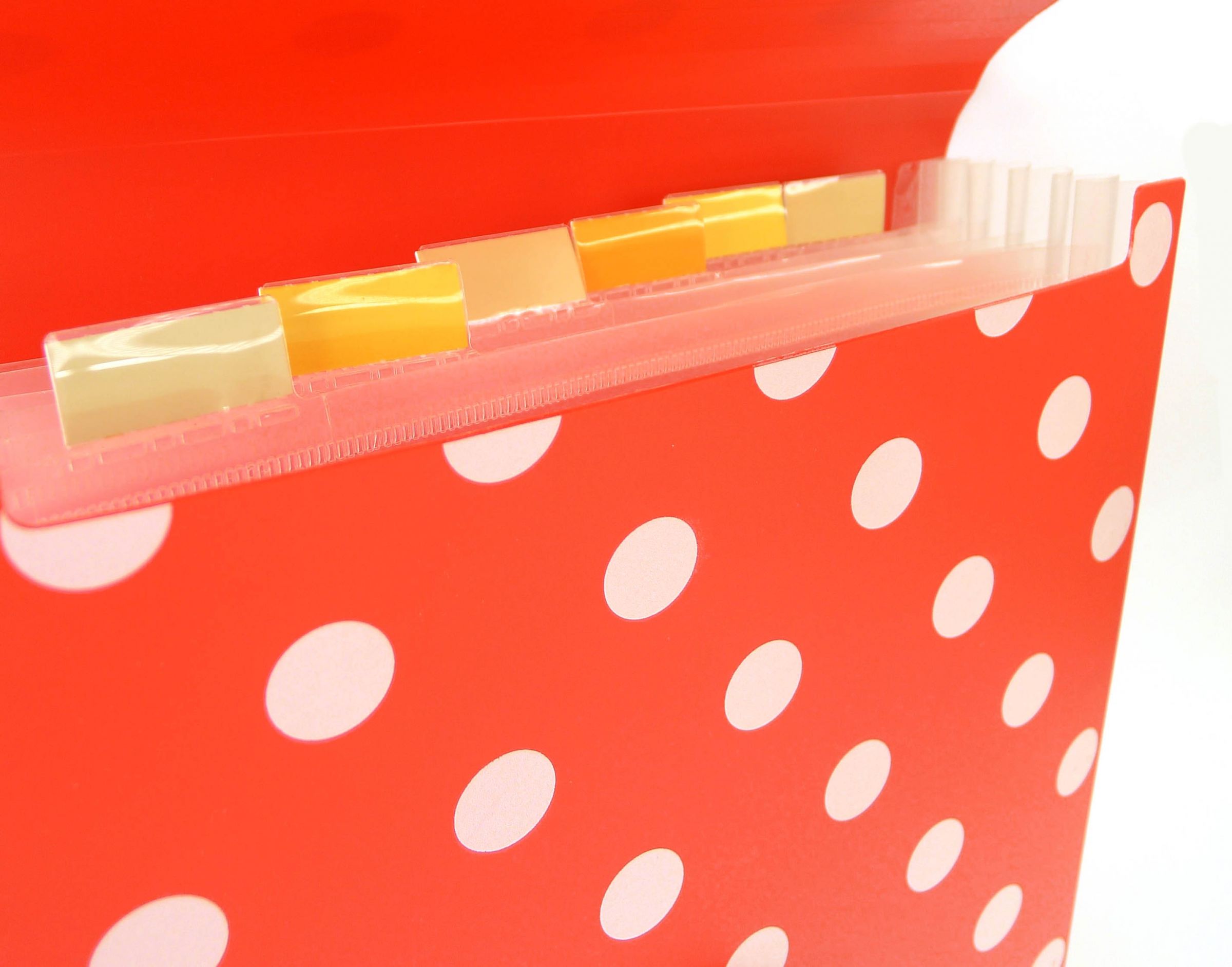 PP Vertical Expanding File | OEM Stationery Solutions Built for Retail ...