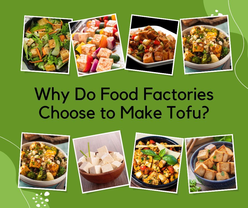 Why do food factories choose to make tofu? | Yung Soon Lih Food Machine ...