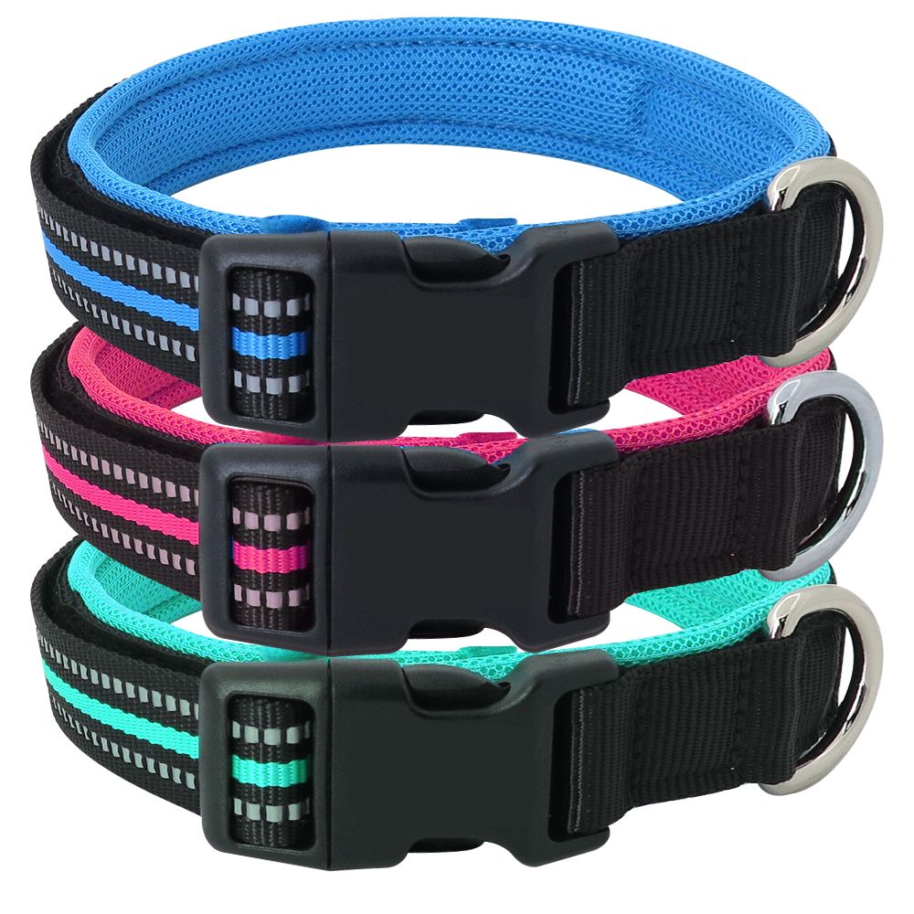 Padded Dog Collar – Custom, Durable, Fast Delivery