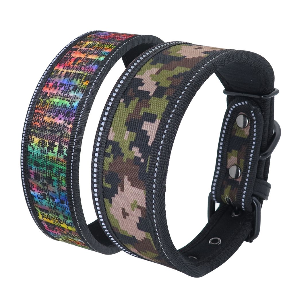Reflective Dog Collar – Custom, Durable, Fast Delivery