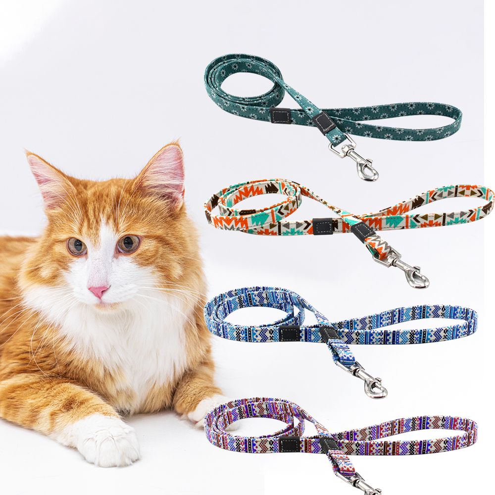 Wholesale Polyester Cat Leash | OEM Manufacturer of Wholesale Polyester ...