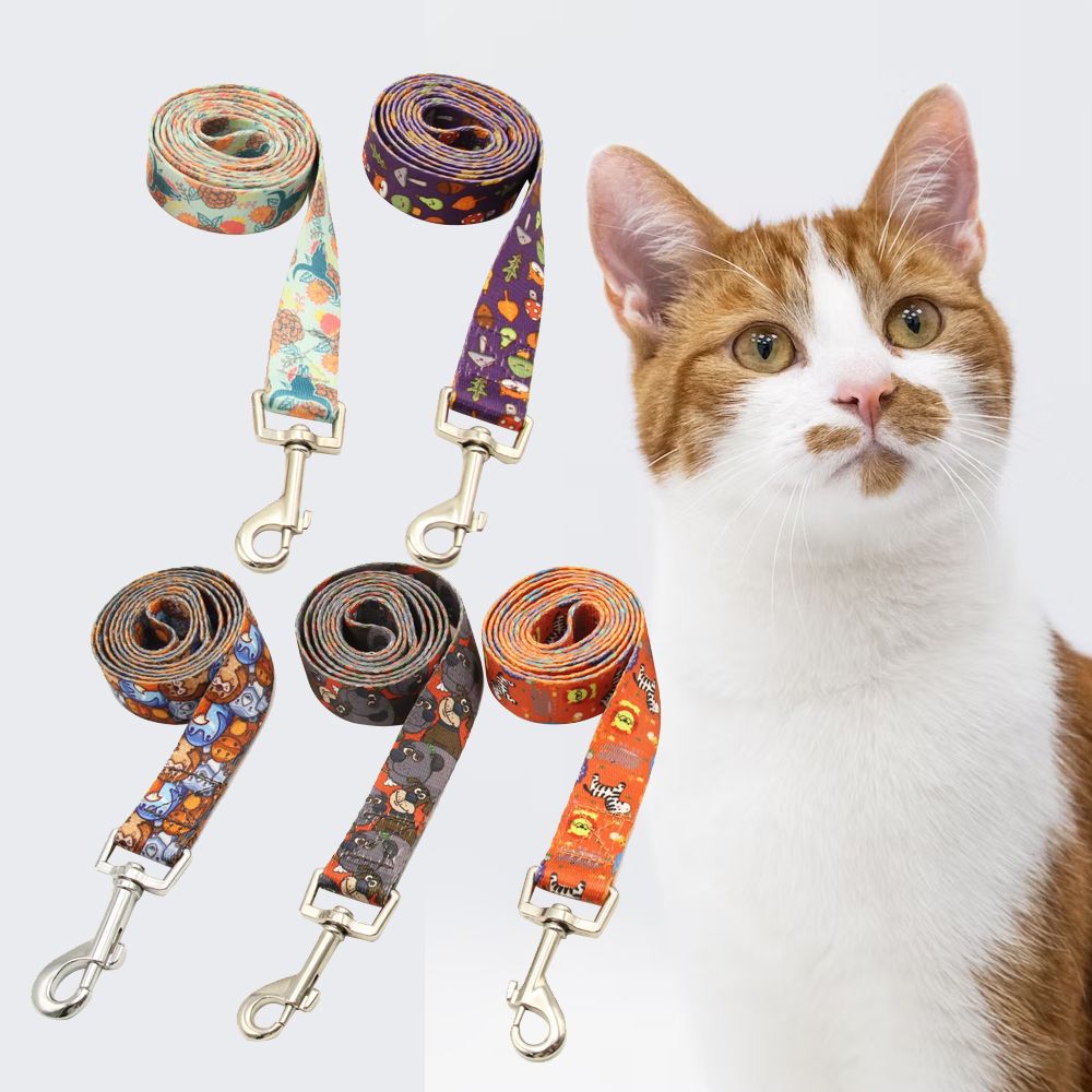 Wholesale Polyester Cat Leash | OEM Manufacturer of Wholesale Polyester ...