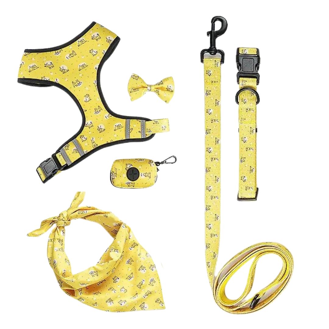 Dog Harness And Leash Set | Embroidered patches manufacturer | Star ...