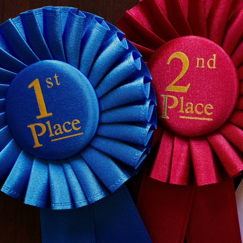 Personalized Rosette Ribbon | Embroidered patches manufacturer | Star ...