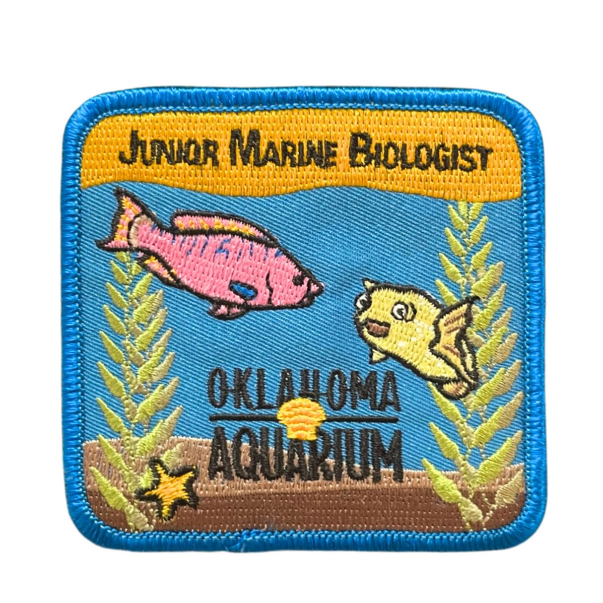 Custom Cloth Patches | Embroidered patches manufacturer | Star Lapel Pin