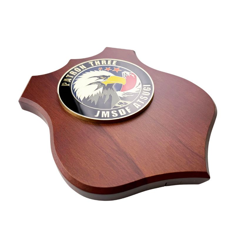 Navy Plaques and Awards | Embroidered patches manufacturer | Star Lapel Pin