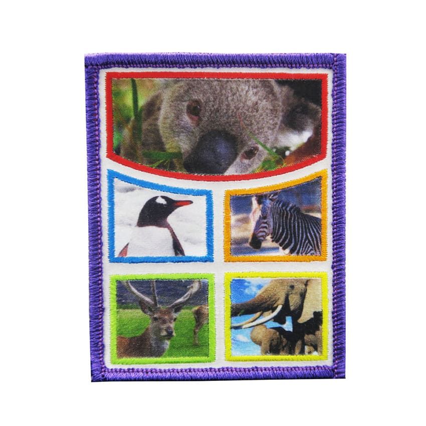 Custom Printed Patches | Embroidered patches manufacturer | Star Lapel Pin