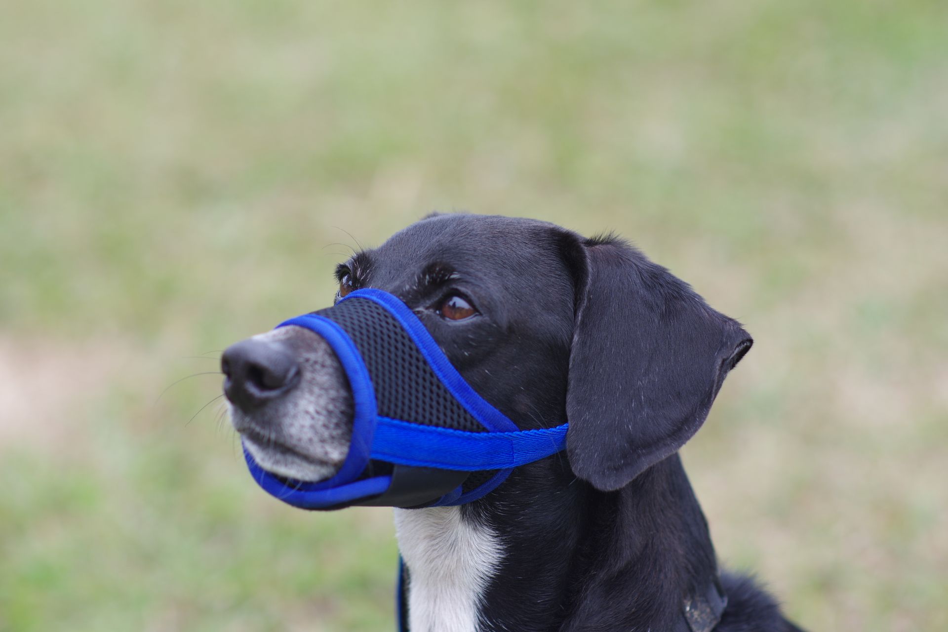 TJ - A professional manufacturer of high quality sporting support ...