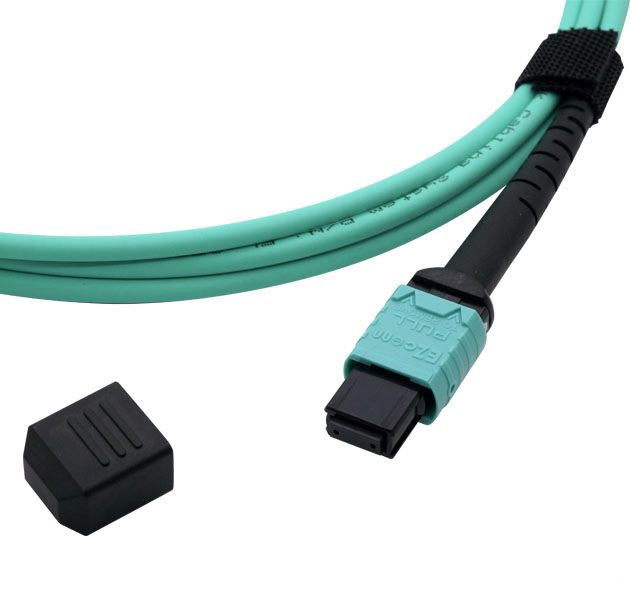 MPO Array Patch Cord, 12 Fiber Jumper | Taiwan Cabling Manufacturer