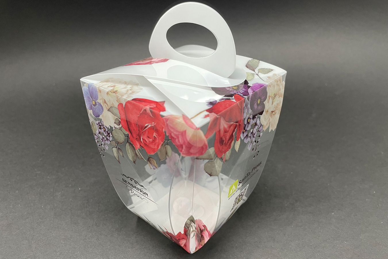 Cosmetic PET Box with Carrier - Cosmetic PET Box with Carrier ...